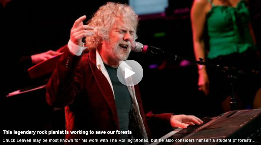 AccuWeather.com – This legendary rock pianist is working to save our ...